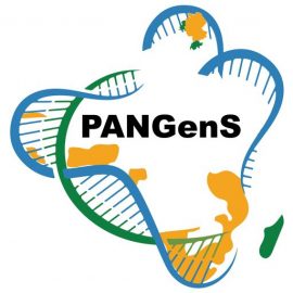 Centre De Recherches Médicales De Lambaréné (CERMEL), Gabon – The ...